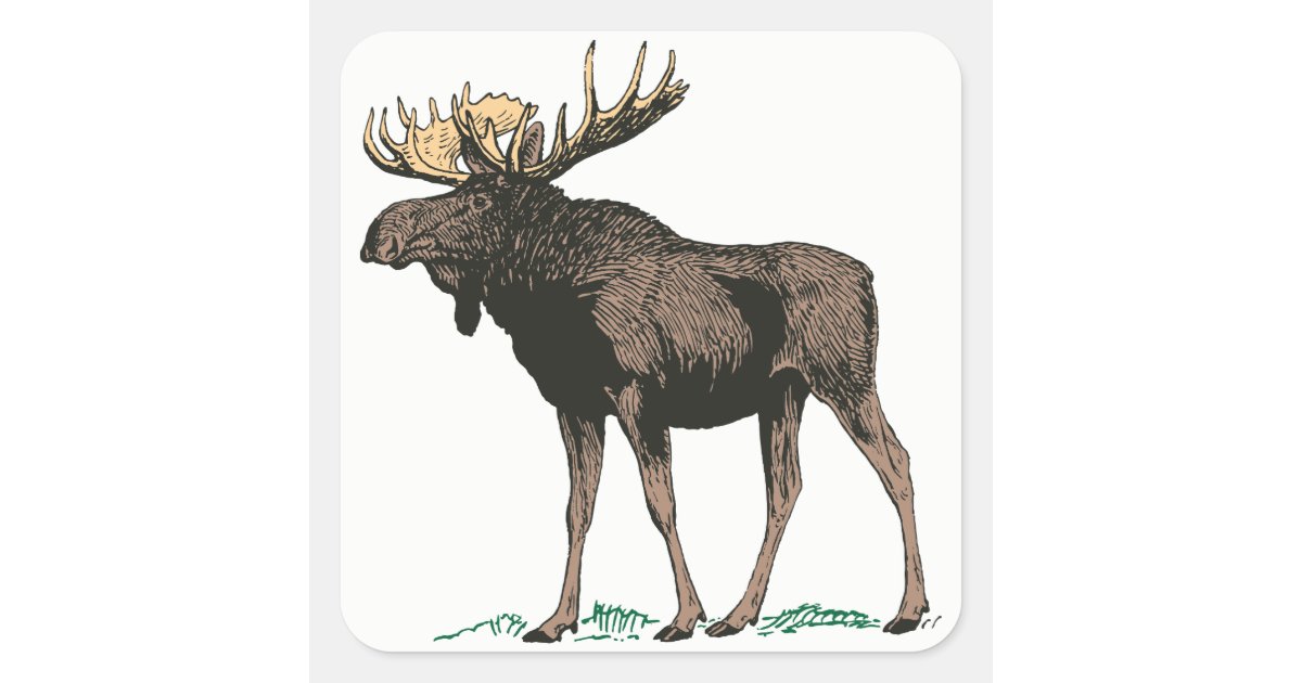 Moose Stickers | Zazzle