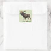 Moose Stickers | Zazzle