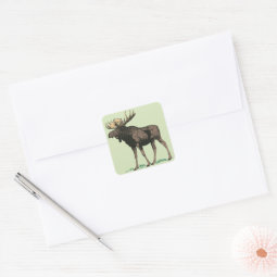 Moose Stickers | Zazzle