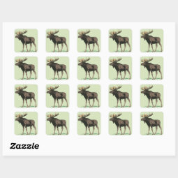 Moose Stickers | Zazzle