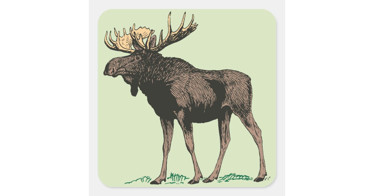 Moose Stickers | Zazzle