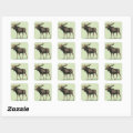 Moose Stickers | Zazzle