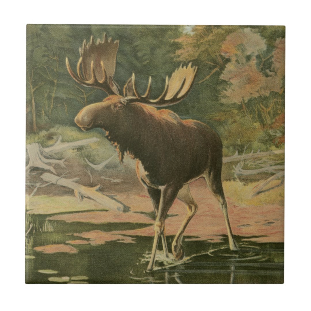 Moose Walking in Water Tile | Zazzle