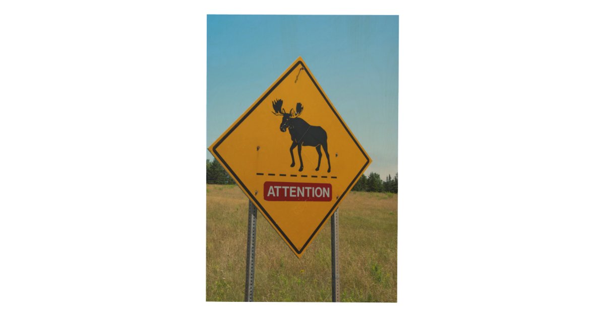 Moose Warning Sign | Zazzle