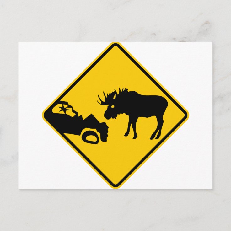 Moose Warning Sign from Gros Morne National Park Postcard | Zazzle