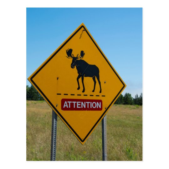 Moose Warning Sign Postcard | Zazzle.com