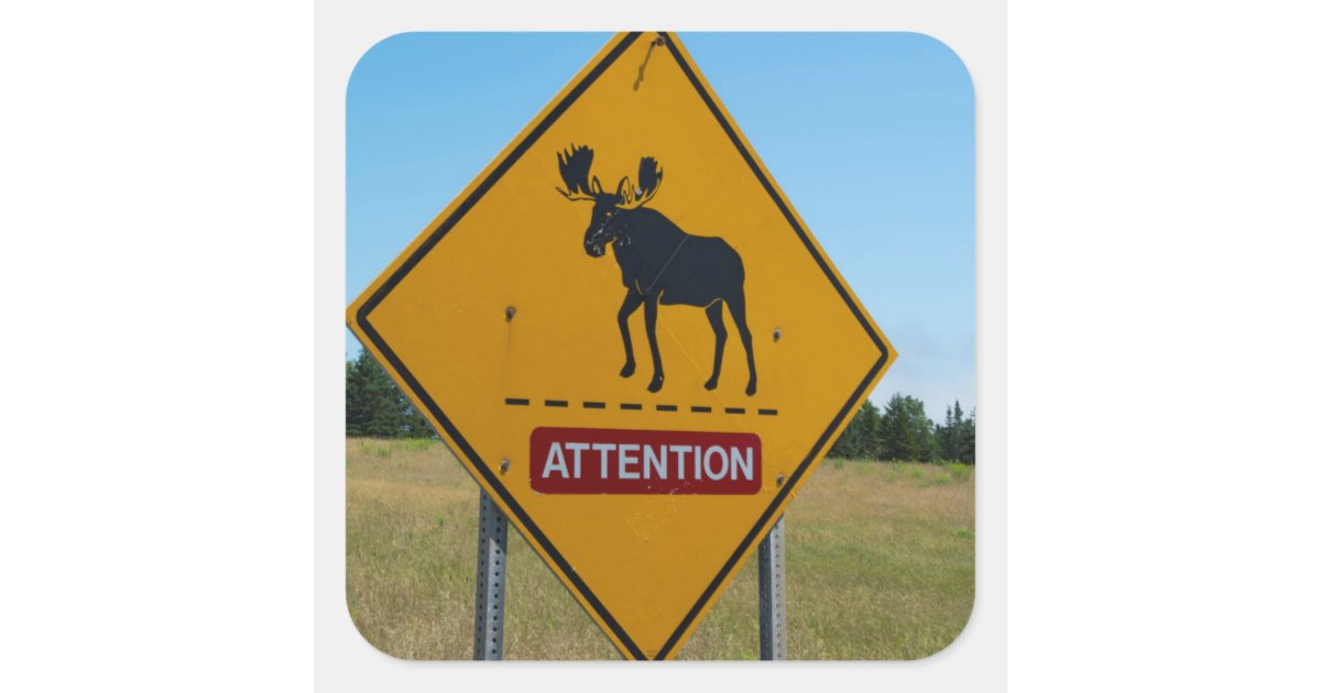 Moose Warning Sign Square Sticker | Zazzle