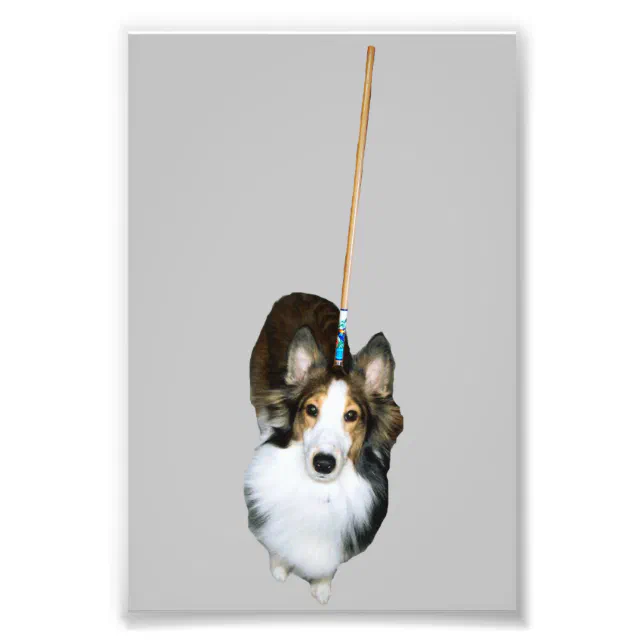 Mop Dog Photo Print | Zazzle