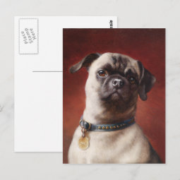 Mops Postcard | Zazzle