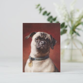 Mops Postcard | Zazzle