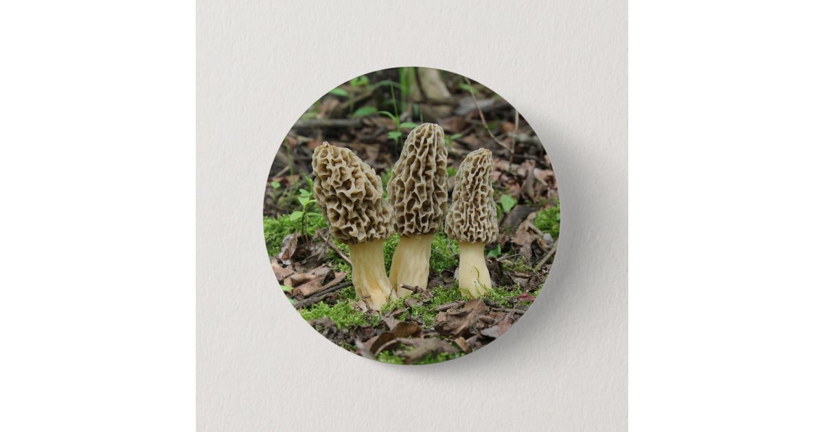 More Morels Button | Zazzle