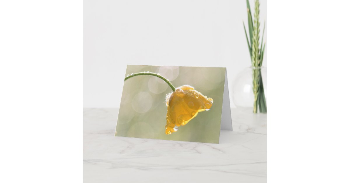 Morning Buttercup Happy Birthday Greeting Card | Zazzle