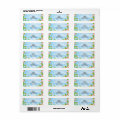 Morning Glory Return Address Labels | Zazzle