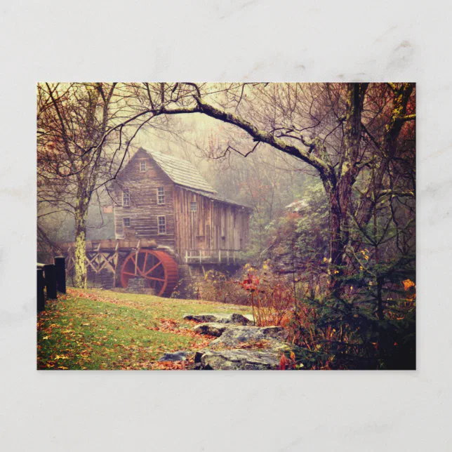 Morning Mist Postcard | Zazzle