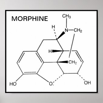 MORPHINE CHEMICAL STRUCTURE POSTER | Zazzle