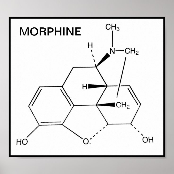 MORPHINE CHEMICAL STRUCTURE POSTER | Zazzle