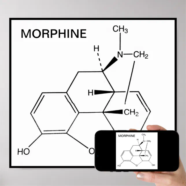 MORPHINE CHEMICAL STRUCTURE POSTER | Zazzle