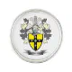 Morrison Family Crest Coat of Arms Pin | Zazzle