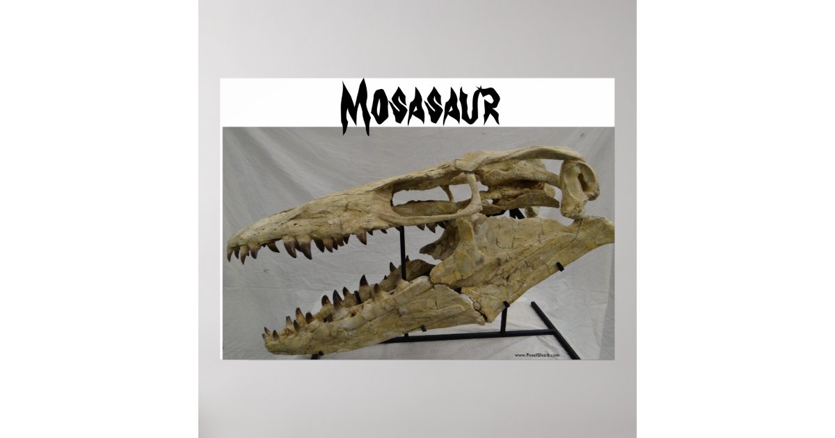 Mosasaur Poster | Zazzle