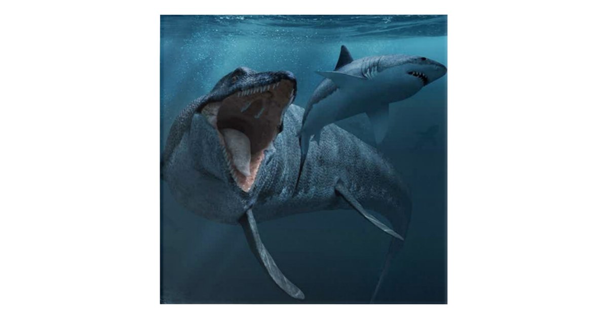 Mosasaurus chasing shark poster acrylic print | Zazzle