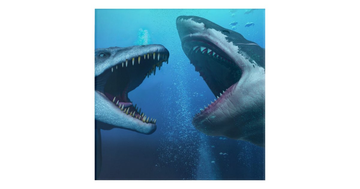 Mosasaurus versus megalodon acrylic print | Zazzle