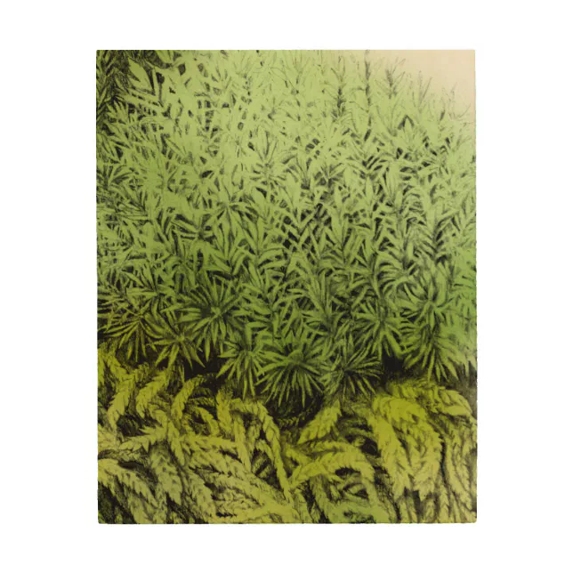 Moss Drawing with green overlay art wood print | Zazzle