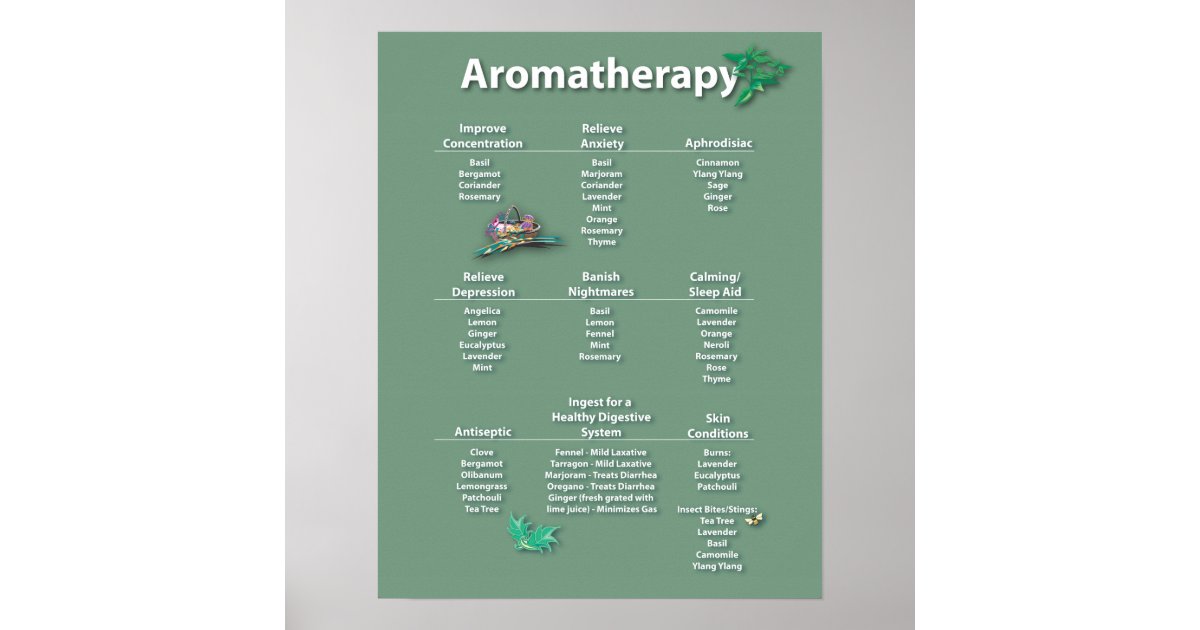 Moss Green Aromatherapy Chart Poster | Zazzle
