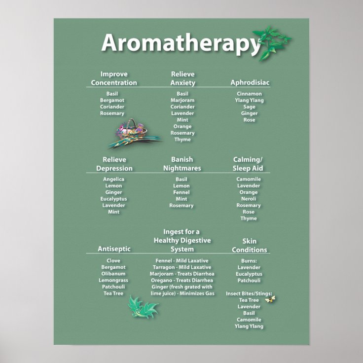 Moss Green Aromatherapy Chart Poster | Zazzle