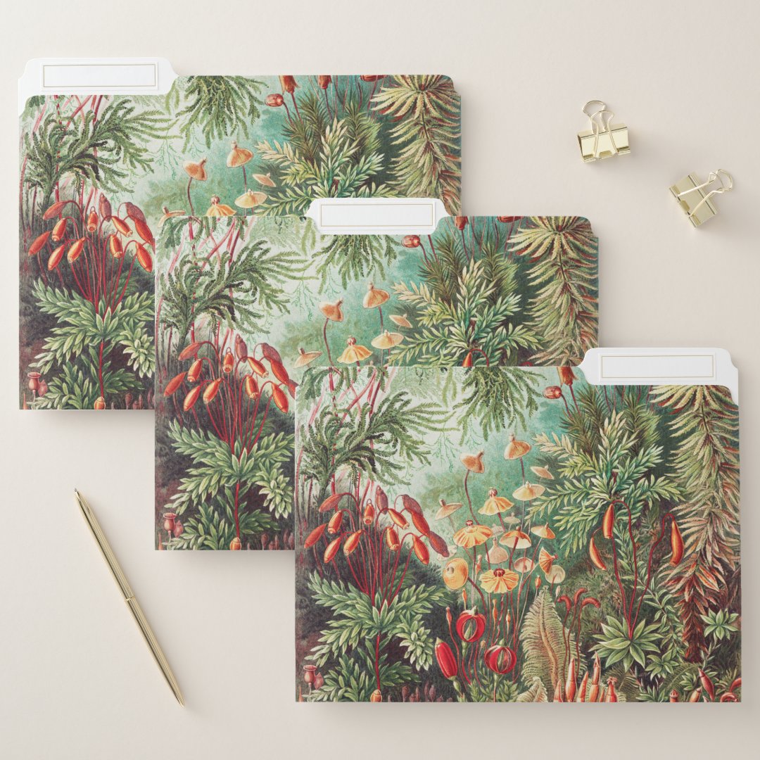Mosses, Muscinae Laubmoose by Ernst Haeckel File Folder | Zazzle