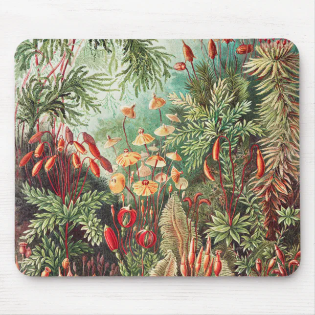 Mosses, Muscinae Laubmoose by Ernst Haeckel Mouse Pad | Zazzle