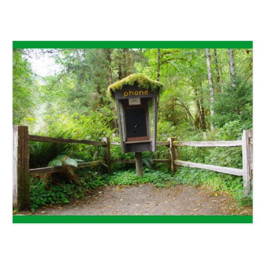 Mossy Phone Booth - Hoh Rain Forest Postcard | Zazzle.com