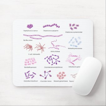 Most common bacteria infecting human Mousepad | Zazzle