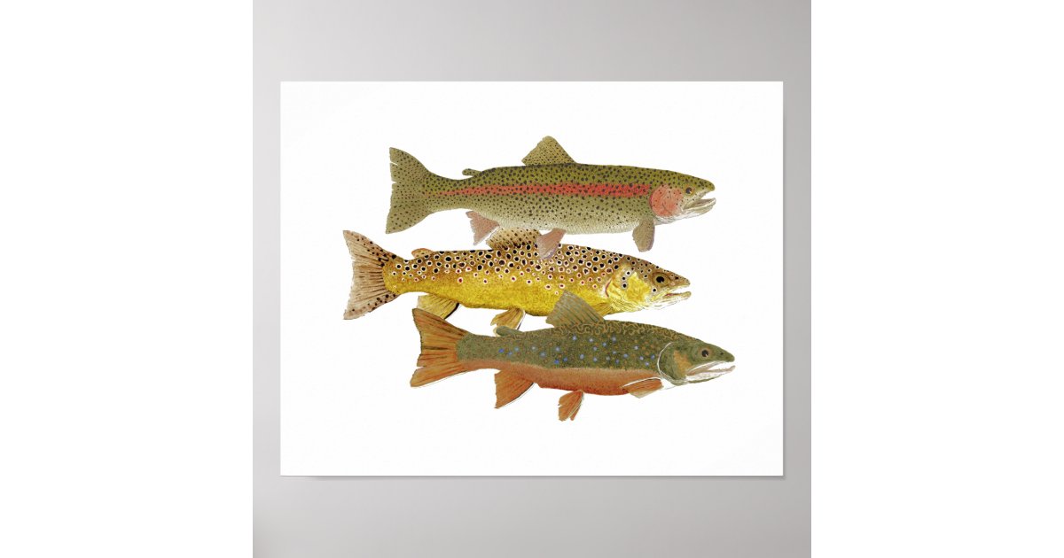 Most Popular Trout Artwork Poster | Zazzle