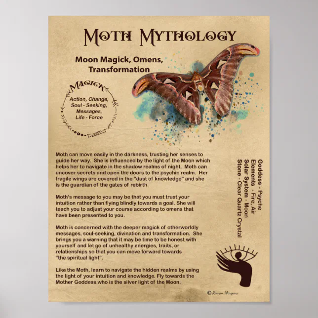 MOTH MYTHOLOGY POSTER | Zazzle