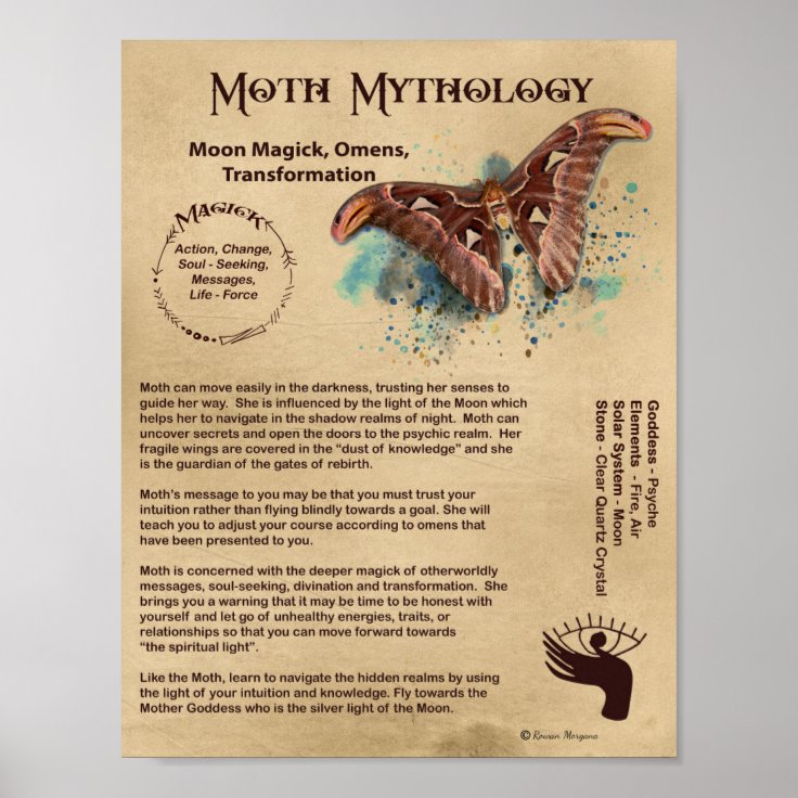 MOTH MYTHOLOGY POSTER | Zazzle