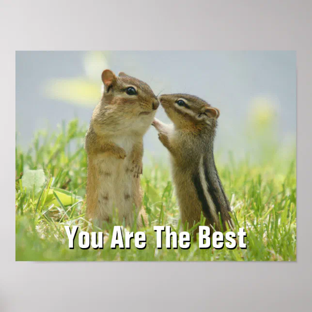 Mother And Baby Chipmunk Poster | Zazzle