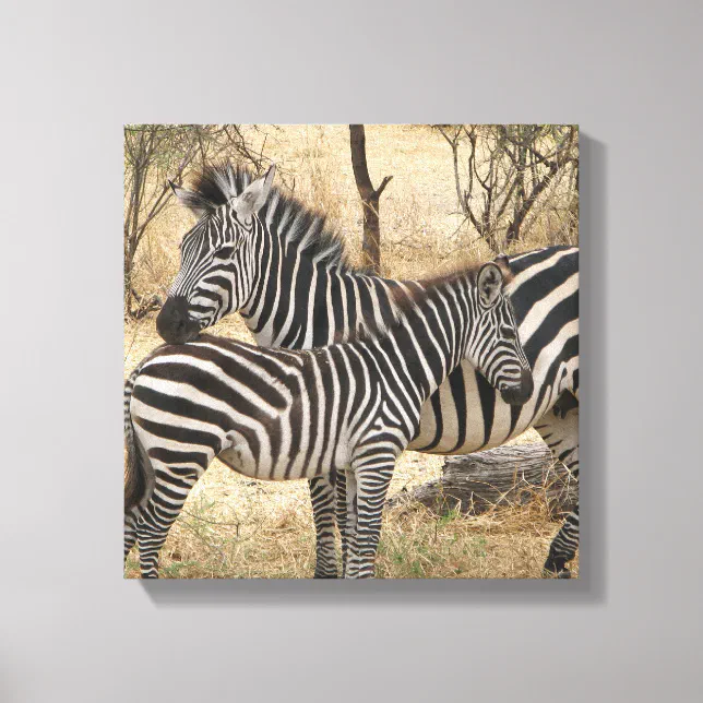 Mother and Baby Zebra Canvas Print | Zazzle