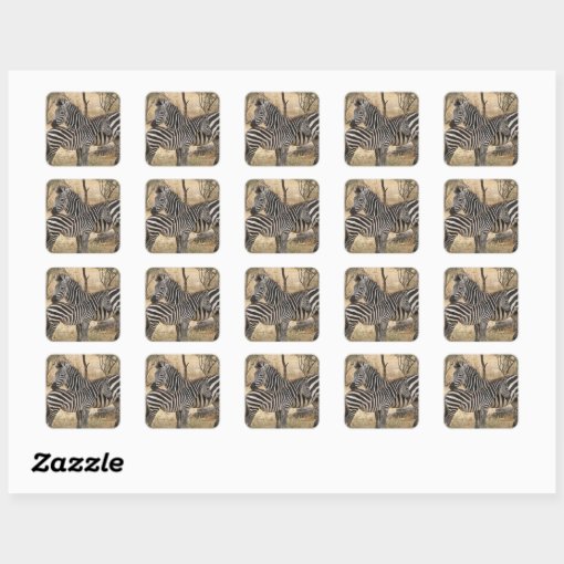 Mother and Baby Zebra Sticker | Zazzle