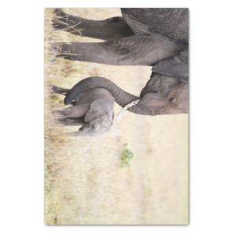 Motherly love tissue paper | Zazzle