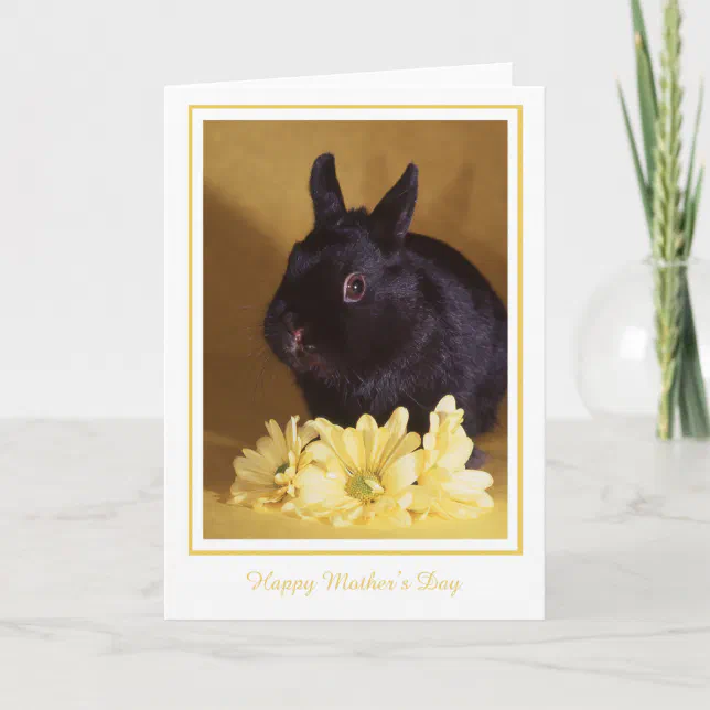 Mother's Day - Bunny and Daisies Greeting Card | Zazzle