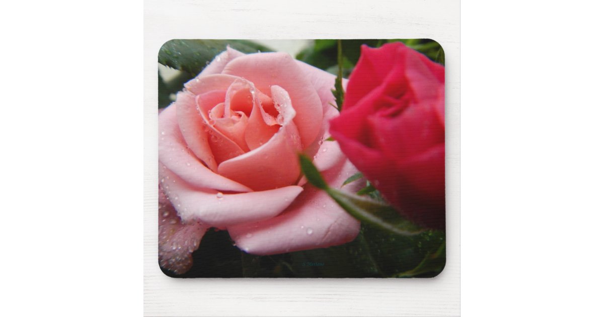 Mothers Day Pink and Red Rose Mouse Pad | Zazzle