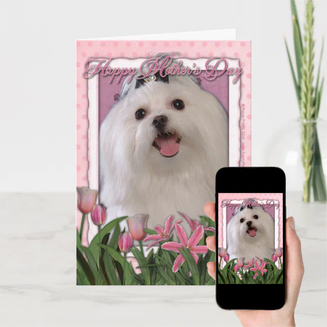 Mothers Day - Pink Tulips - Maltese Card | Zazzle