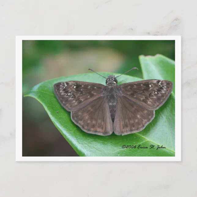 Mothly Intentions Postcard | Zazzle