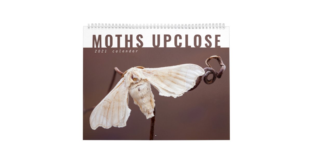 MOTHS UPCLOSE 2021 CALENDAR | Zazzle