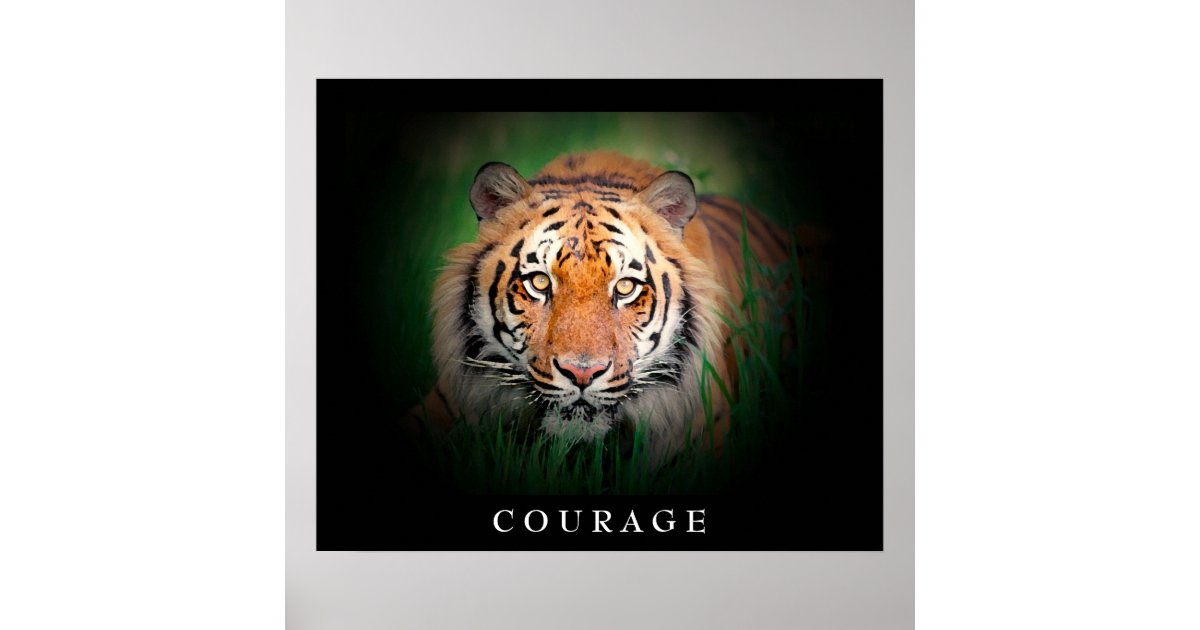 Motivational Courage Tiger Eyes Poster | Zazzle