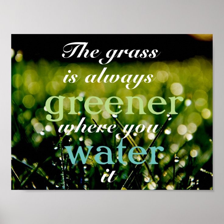Motivational| Grass is greener where you water it Poster | Zazzle