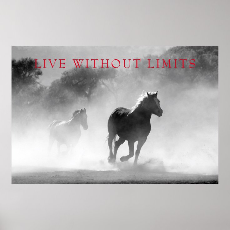 Motivational Horses Live Without Limits Poster | Zazzle