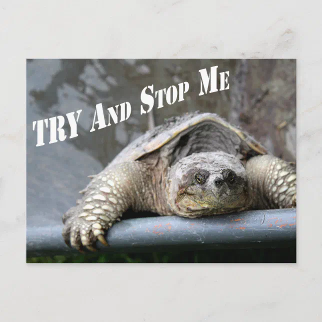 Motivational Inspirational Quote Turtle Picture Postcard | Zazzle