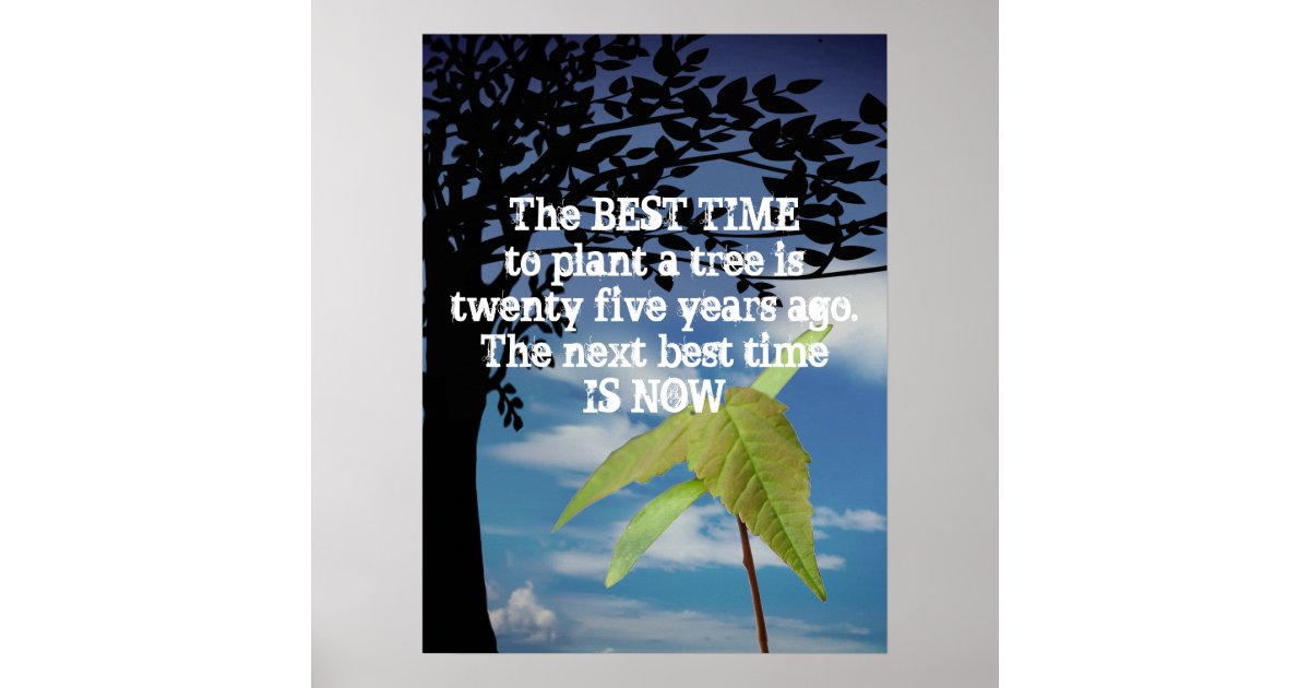 Motivational Plant A Tree Quote Poster | Zazzle