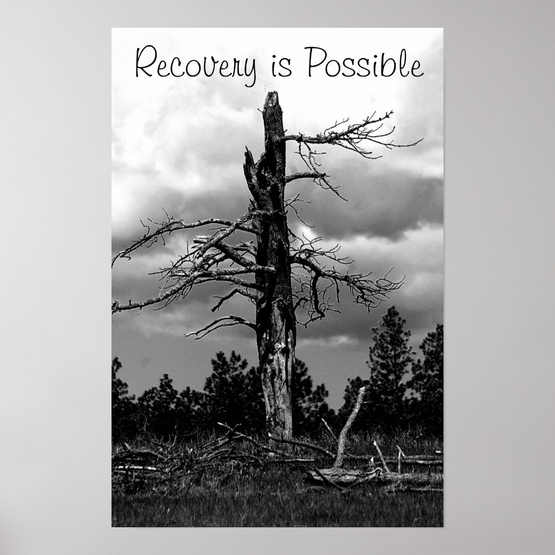 Motivational Poster-Recovery Poster | Zazzle